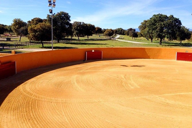 Half-Day Guided Tour to a bull farm in Madrid - Key Points