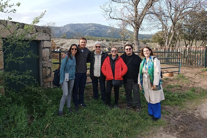 Half-Day Guided Tour to a bull farm in Madrid - The Sum Up
