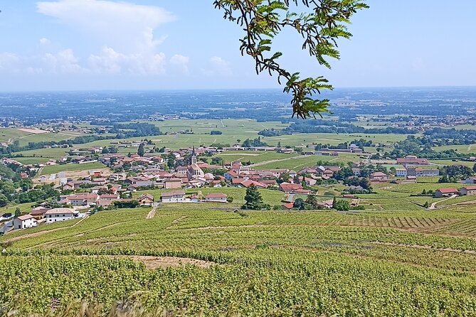 Half-Day Guided Tour With Tasting of Beaujolais Wines - Meeting and Pickup