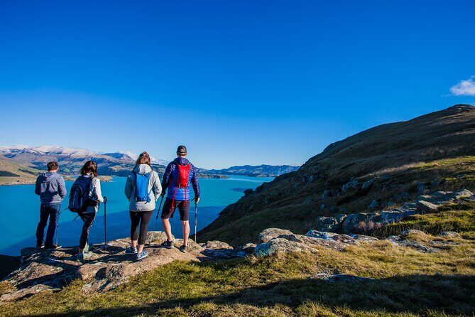 Half Day Guided Walking Tour on Banks Peninsula - Exploring the Half-Day Guided Walking Tour on Banks Peninsula