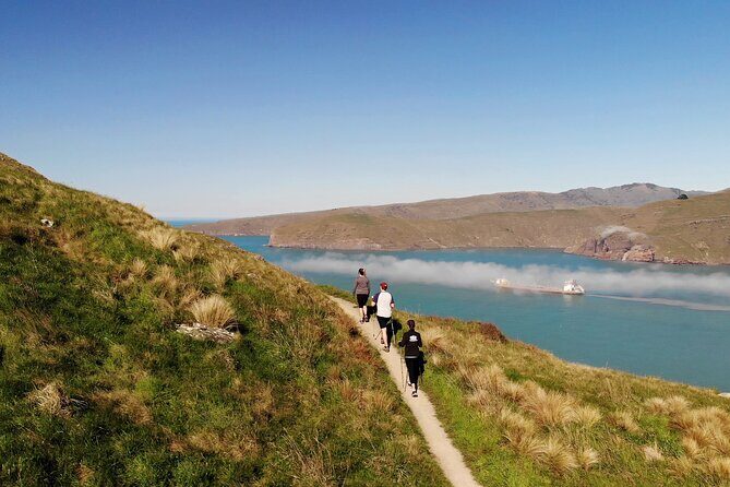 Half Day Guided Walking Tour on Banks Peninsula - Key Points