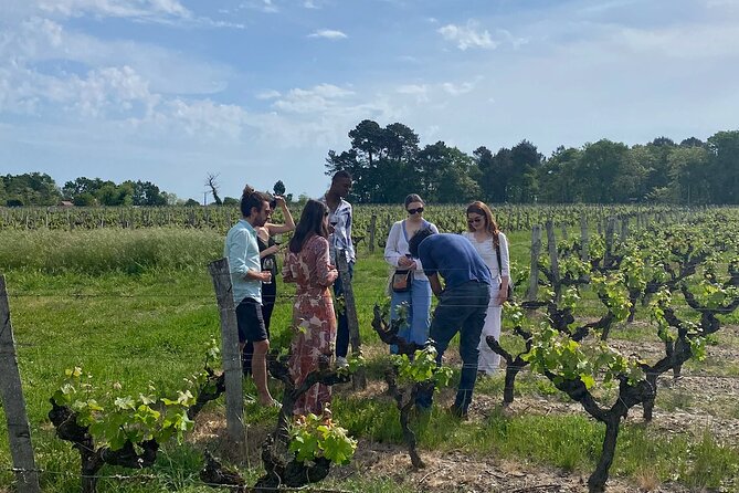 Half-Day Guided Wine Tasting Tour in Bordeaux Vineyards - Accessibility and Participation