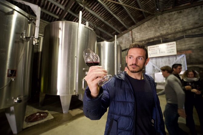 Half-Day Guided Wine Tasting Tour in Bordeaux Vineyards - Explore the Bordeaux Vineyards