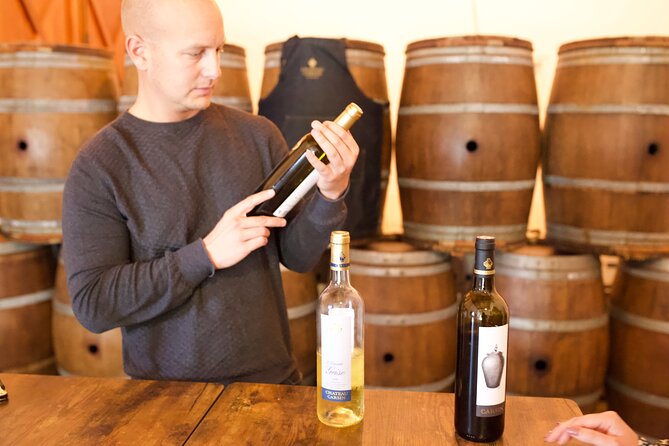 Half-Day Guided Wine Tasting Tour in Bordeaux Vineyards - Discover the Winemaking Process