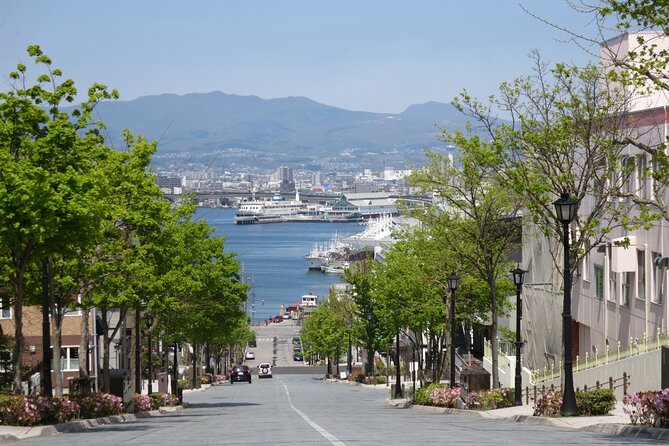 Half Day Hakodate Tour With Government Licensed English Guide - Key Points