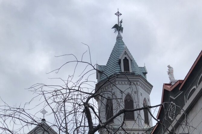 Half Day Hakodate Tour With Government Licensed English Guide - Accessibility and Participation