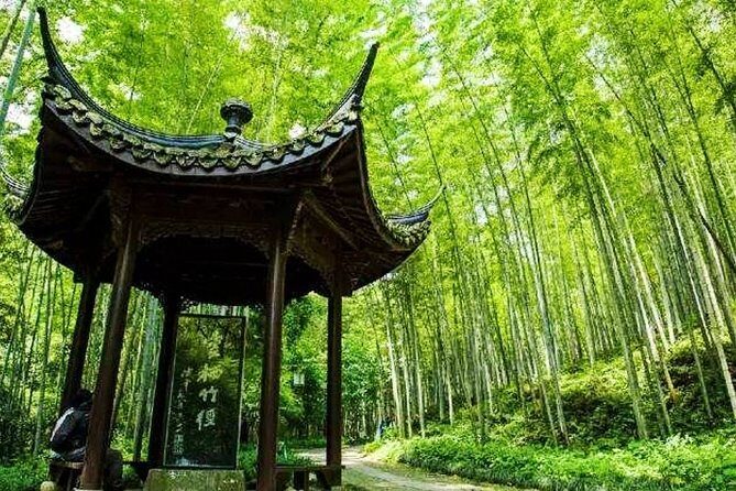 Half-Day Hangzhou Nature Explore with Green Tea Village and Yunxi Bamboo Forest - Authentic Moments and Hidden Details