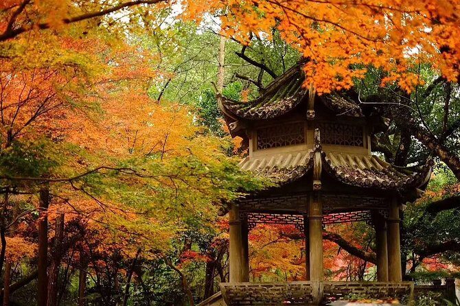 Half-Day Hangzhou Tianzhu Buddhist Mountain Hiking Tour with Green Tea Village - An In-Depth Look at the Experience