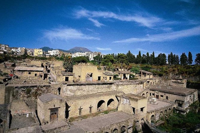 Half Day Herculaneum From Sorrento - Highlights of the Herculaneum Site