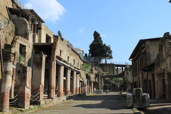 Half Day Herculaneum From Sorrento - Customer Experiences and Feedback
