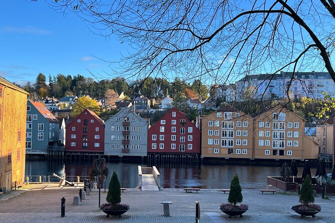 Half-Day Highlights of Trondheim by Bus and City Walk - The Sum Up