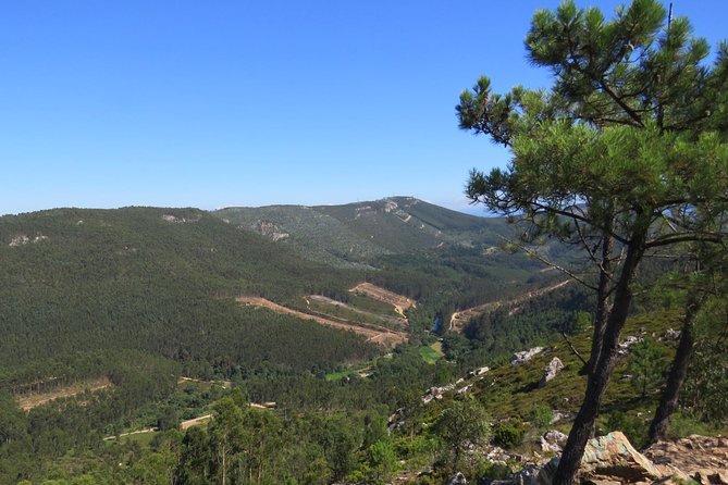 Half-Day Hike & Picnic With Dog Love in Portos Mountains - Guided Hiking Tour