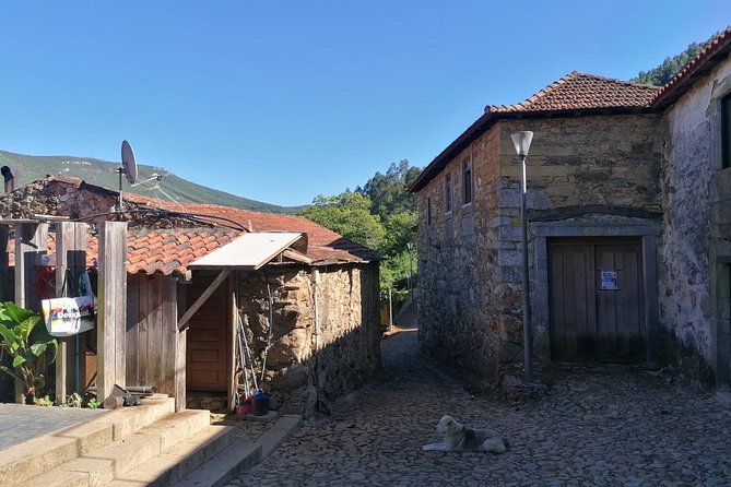 Half-Day Hike & Picnic With Dog Love in Portos Mountains - Additional Noteworthy Details