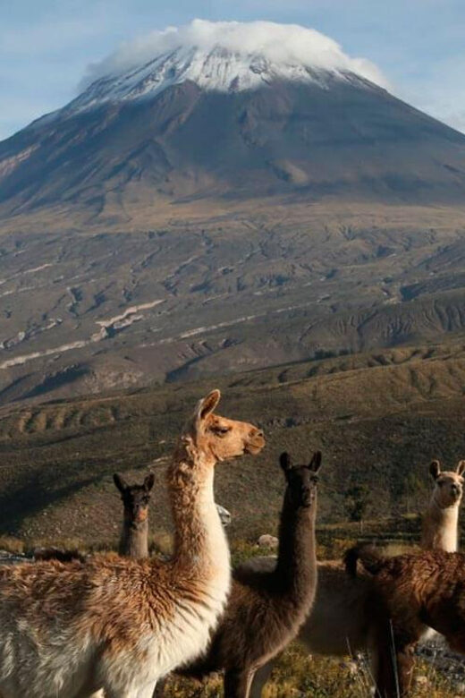 Half-Day Hike To Misti Volcano - Introduction