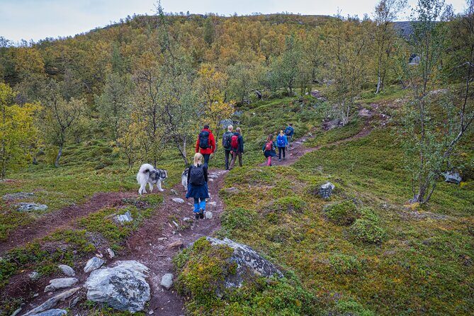 Half Day Hike To Orvvosfossen Waterfall - Transportation and Group Size