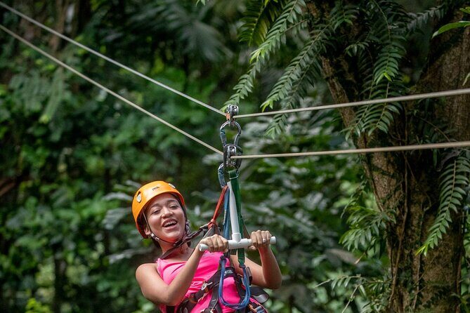 Half-Day Hiking Adventure with Aerial Tram & Zipline in St Lucia - Who Should Consider This Tour