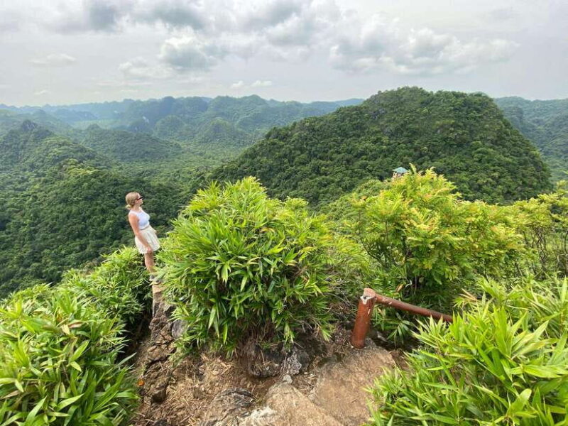 Half Day Hiking to Cat Ba National Park with a Guide - Key Points