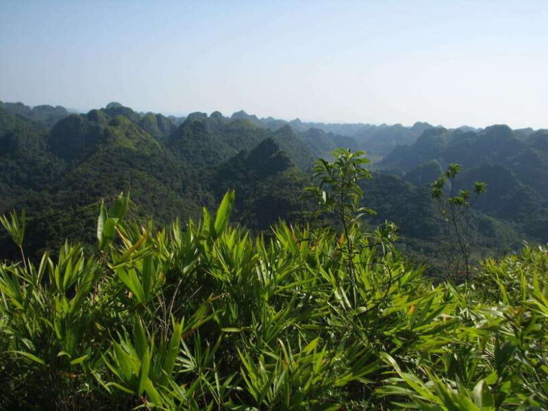Half Day Hiking to Cat Ba National Park with a Guide - The Historical Hospital Cave