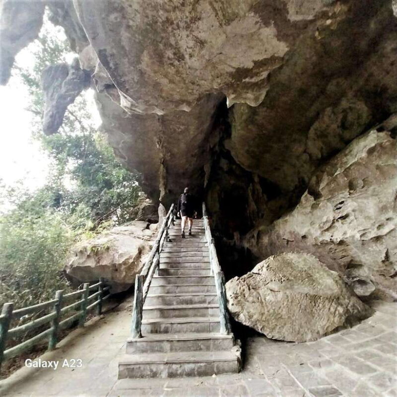 Half Day Hiking to Cat Ba National Park with a Guide - What Travelers Are Saying