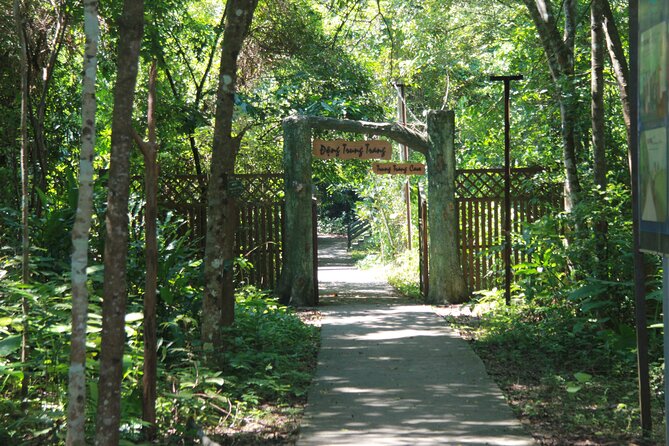 Half Day Hiking to Discover Cat Ba National Park with a Guide - Itinerary Breakdown