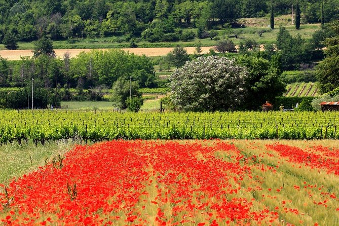 Half Day Hilltop Villages of Luberon Tour from Avignon - The Practicalities and Value