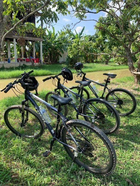 Half Day Historical & Cultural Experience Bicycle Tour - A Closer Look at the Experience