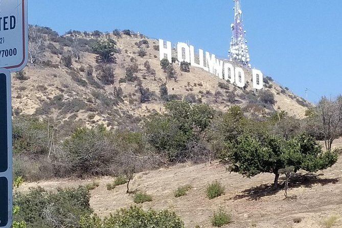 Half Day Hollywood and Beverly Hills Tour - Who Should Book This Tour?