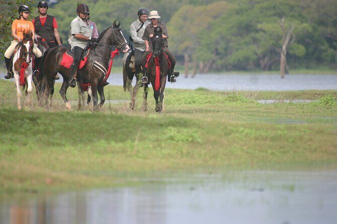 Half Day Horse Riding in Dambulla - Detailed Breakdown of the Journey