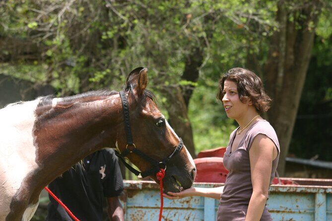Half Day Horse Riding in Dambulla - What Travelers Are Saying (Based on Reviews & Info)
