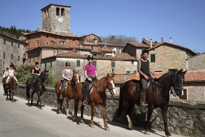 Half-Day Horseback Ride in Tuscany - Who Is This Tour Best For?
