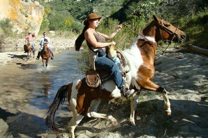 Half-Day Horseback Riding Adventure - The Organic Mexican Lunch: A Culinary Highlight
