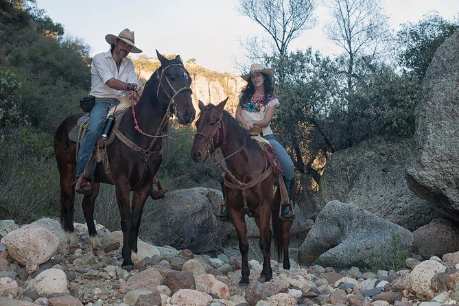 Half-Day Horseback Riding Adventure - The Practicalities: What You Need to Know