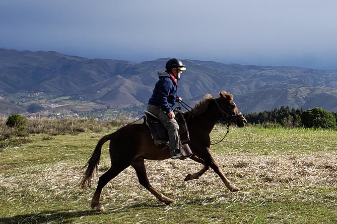 Half Day Horseback Riding Tour Around Sacsayhuaman Park - Itinerary and Highlights