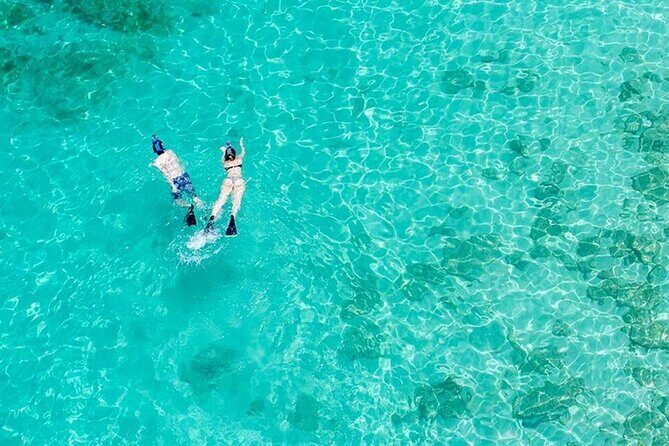 Half Day Icacos Island Tour without Transportation Service - Practical Tips