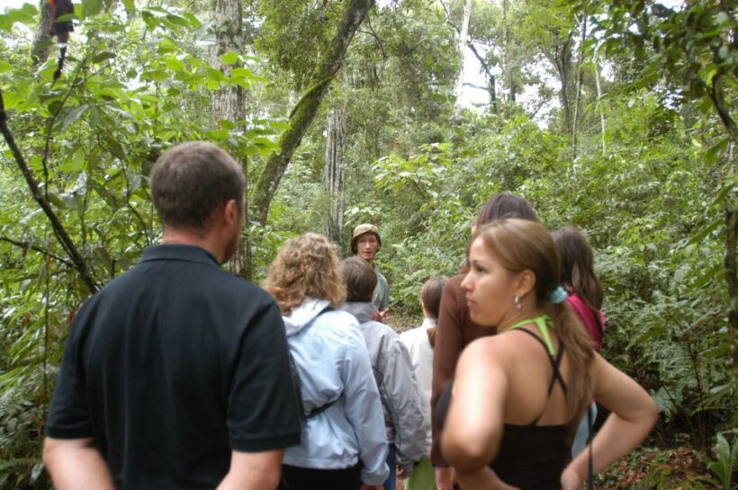Half-Day Iguazú Forest Adventure - FAQs