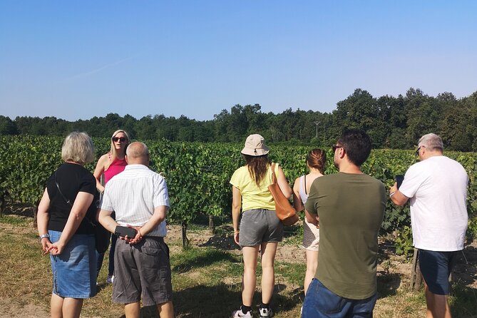 Half-day in the Médoc : 2 wineries & 6 wines - The Value of This Tour