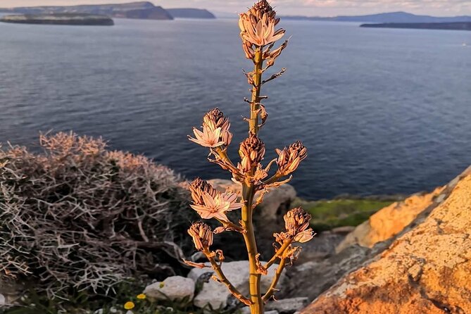 Half-Day Inland Fishing Tourism Sunset Tour with Dinner - FAQ