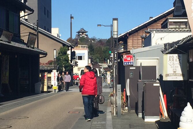 Half-Day Inuyama Castle and Town Tour With Guide - Accessibility and Participation