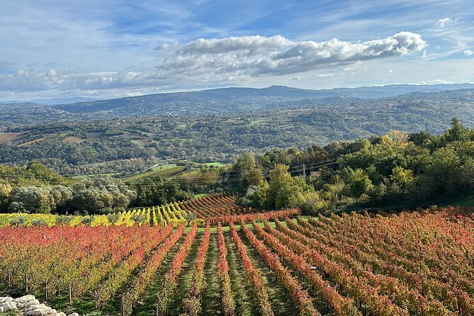 Half-Day Irpinia Wine Tour from SALERNO - Who Should Book This Tour?