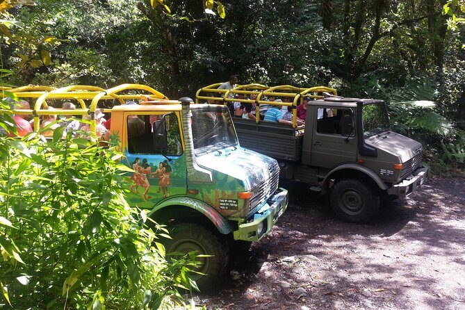 Half Day Jeep Safari - Exploring the Half Day Jeep Safari in Dominica: An Informative Review