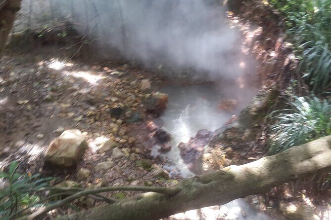 Half Day Jeep Safari - Who is This Tour Best For?