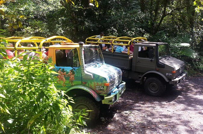 Half Day Jeep Safari - Final Thoughts