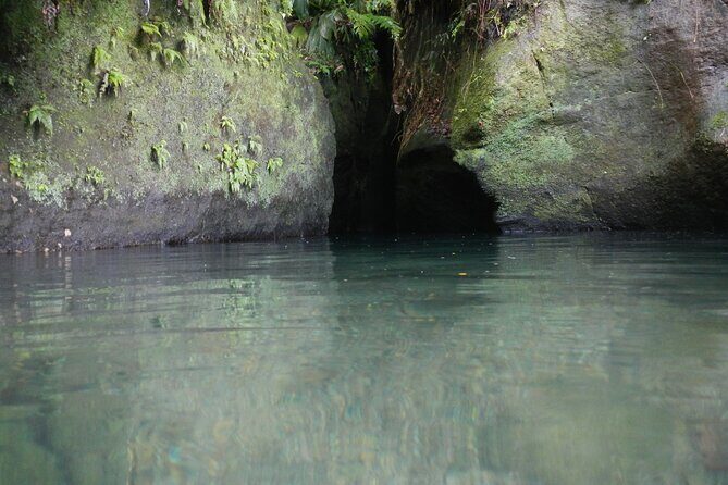 Half Day Jeep Safari - Summary