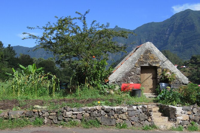 Half Day Jeep Wine Tour and Tasting, & Sea Cliff Adventure - Traveler Reviews and Feedback