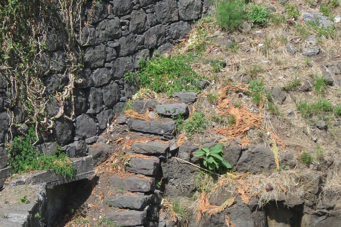 Half Day Jeep Wine Tour and Tasting, & Sea Cliff Adventure - Sea Cliff Adventure
