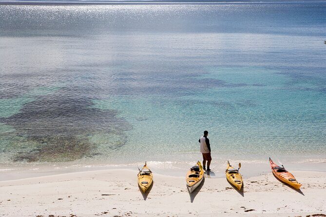 Half-Day Jervis Bay Sea Kayak Tour - The Itinerary in Detail