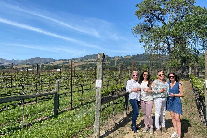 Half Day Join in Group Wine Tasting Tour - An In-Depth Look at the Experience