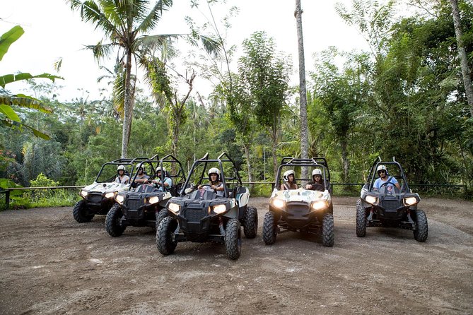Half Day Jungle Buggies in Bali with Guide - A Practical Look at Bali’s Half Day Jungle Buggies with Guide