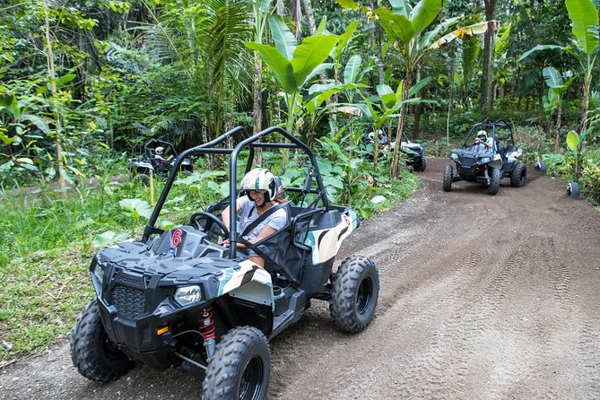 Half Day Jungle Buggies in Bali with Guide - Who Is This Tour Best For?
