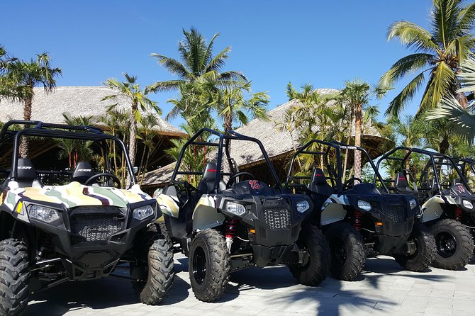 Half Day Jungle Buggies in Bali with Guide - Final Thoughts